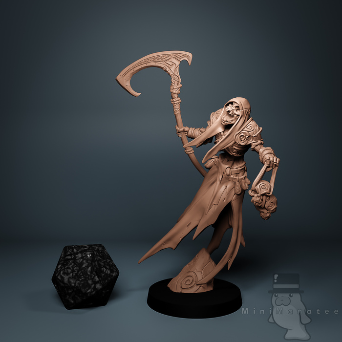 Artisan Guild: Darkness of the Lich Lord - Wraith 1 :: Mini Manatee New ...