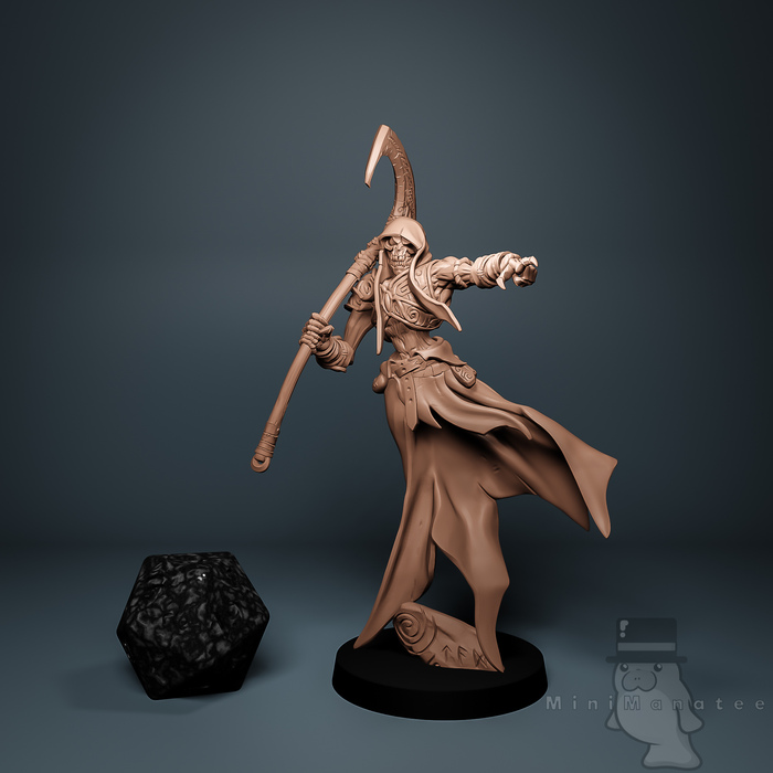 Artisan Guild: Darkness of the Lich Lord - Wraith 2 :: Mini Manatee New ...