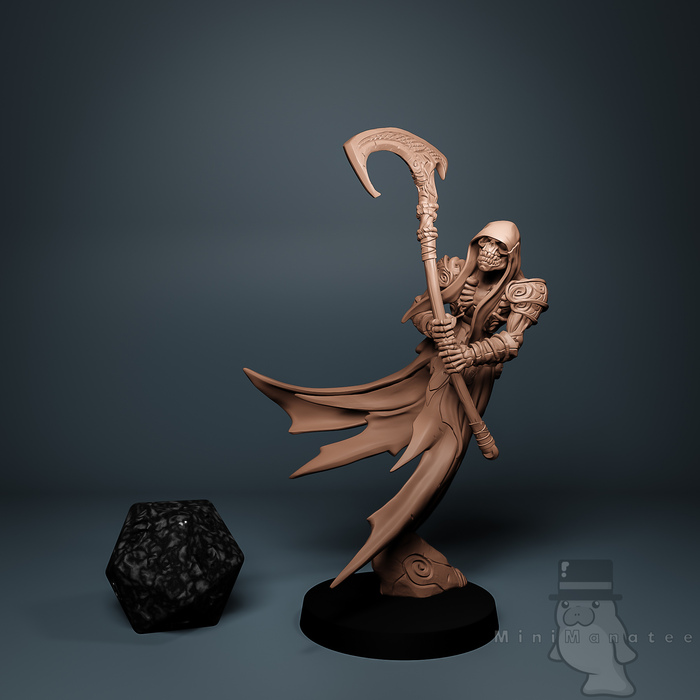 Artisan Guild: Darkness of the Lich Lord - Wraith 3 :: Mini Manatee New ...