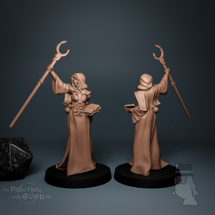 Drow Wizard Lucasina - DnD is a Woman - The Printing Goes Ever On ...