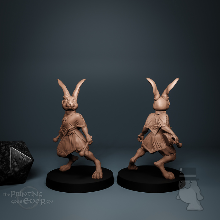 Rabbitfolk Bard Elacott - DnD is a Woman - The Printing Goes Ever On ...