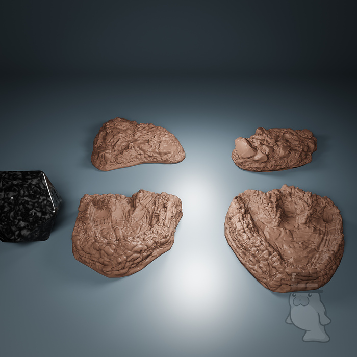 Dragon Footprints and Decoration - Where Is My Dragon - Ketaminies ...