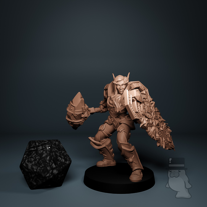 Elf Paladin - Special Edition - Imagine Minis :: Mini Manatee New Zealand