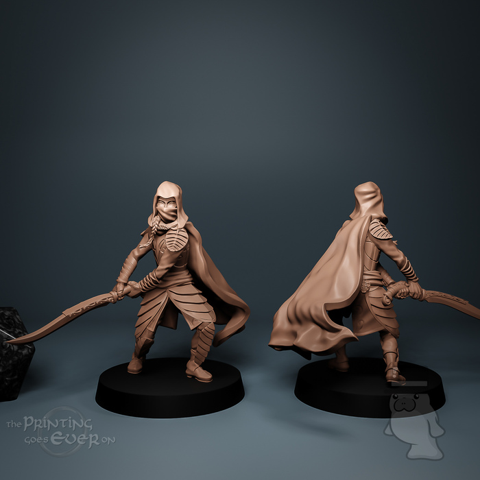 Elf Swordmaster - DnD is a Woman - *Special Release TPGEO* :: Mini ...