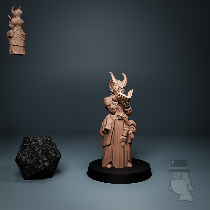 Demonkin Scholar - Everyday Folk - EC3D Design :: Mini Manatee New Zealand