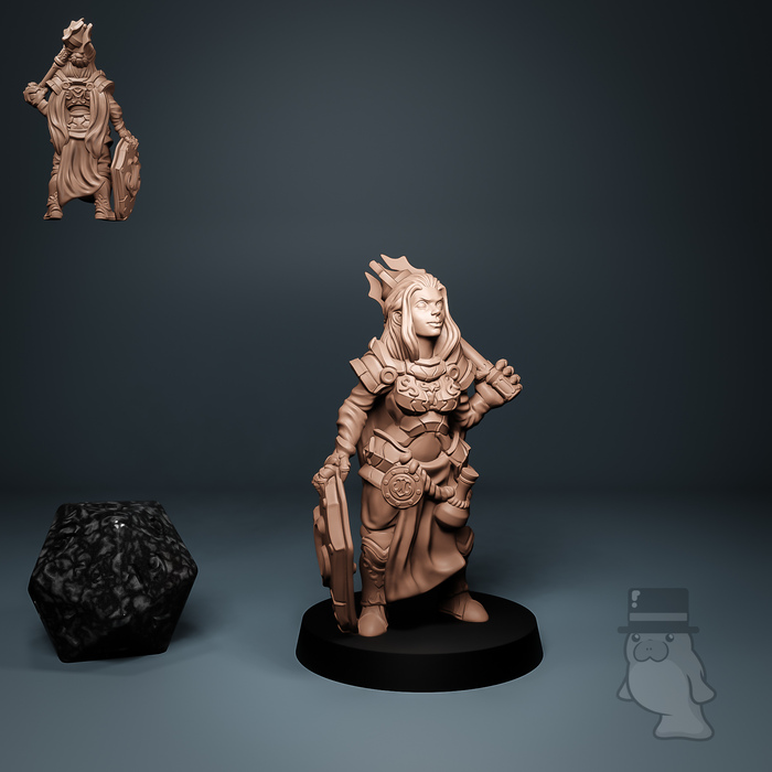 Holy Cleric - Holy Order of Ash - EC3D Design :: Mini Manatee New Zealand