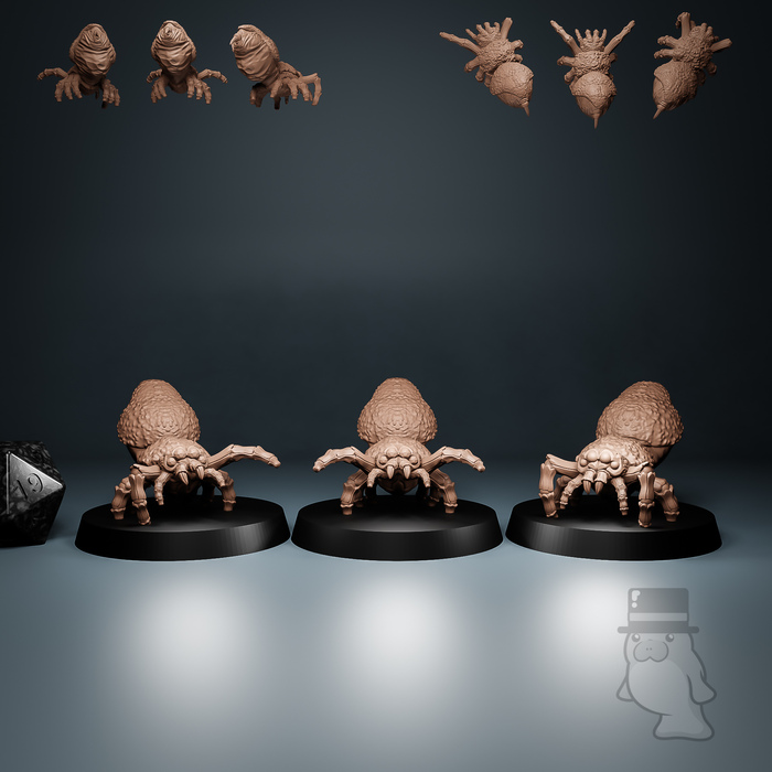 Shell Spiders - Spider Swarm - Stormforge Miniatures :: Mini Manatee ...