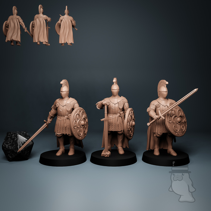 Aedelmar Knights - Dark Ascendancy - Saga Minis :: Mini Manatee New Zealand