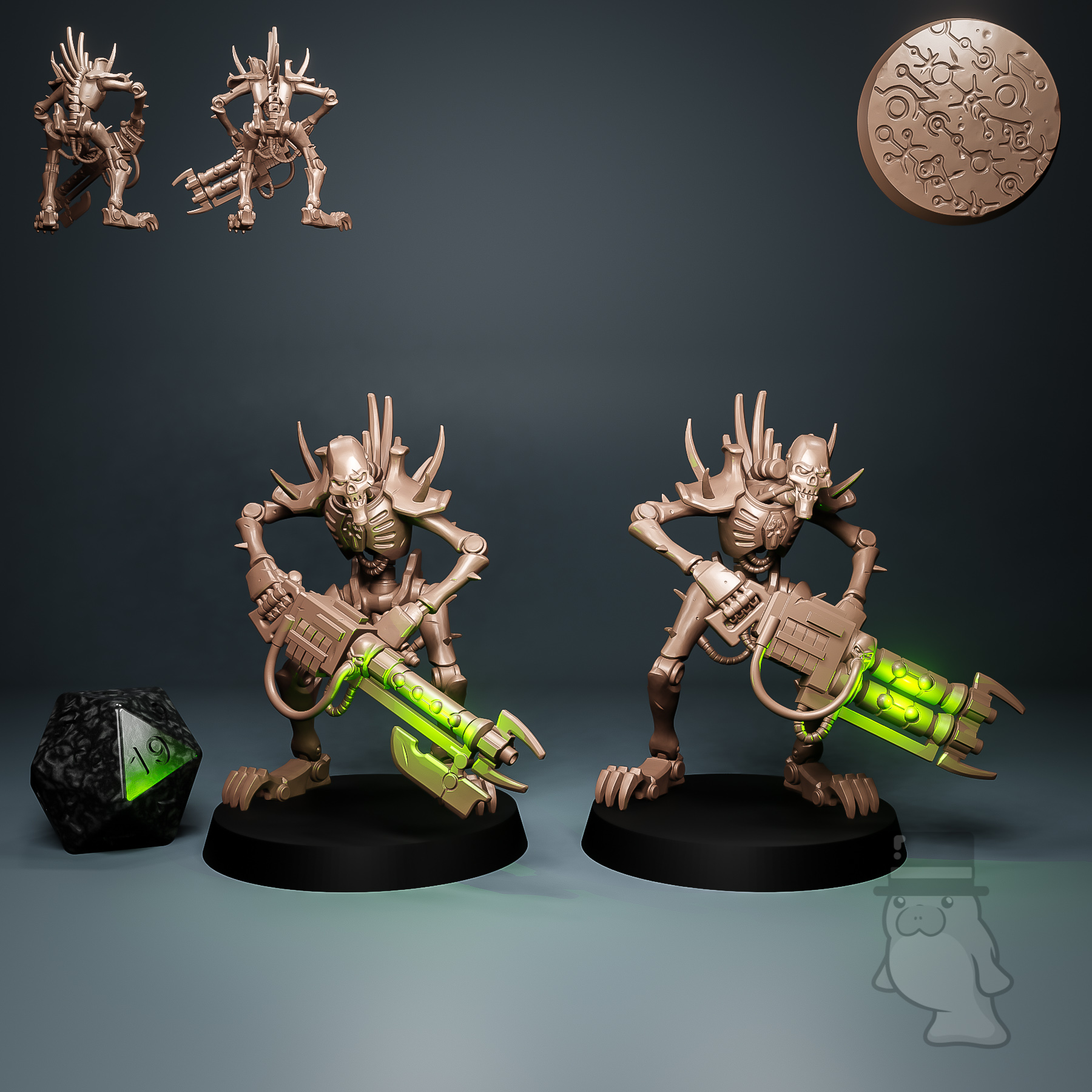 Mini Manatee New Zealand