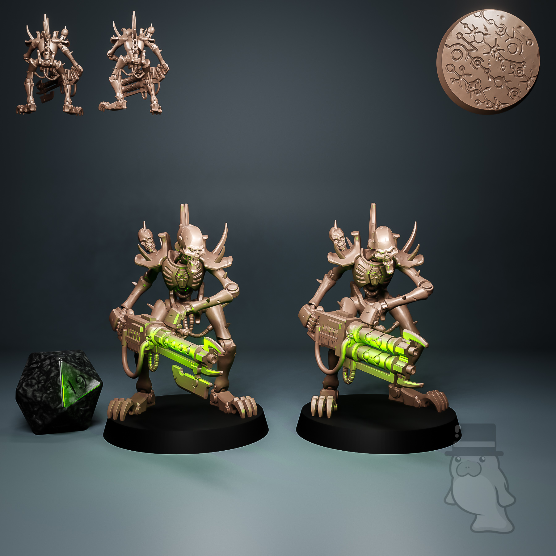 Mini Manatee New Zealand