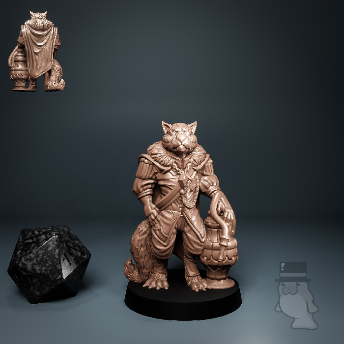 Catfolk Male Noble - Everyday Folk Vol II - EC3D Design :: Mini Manatee ...