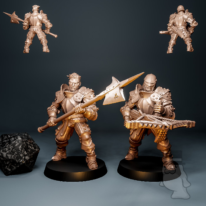 Fighter C - Vanguard Fighters Guild - Artisan Guild :: Mini Manatee New ...