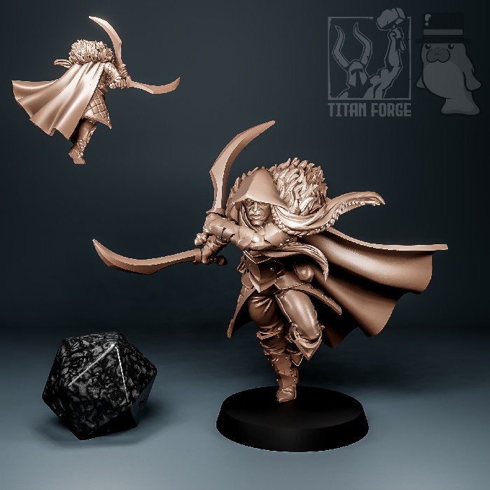 Drow Warrior (3 Loadouts) - Titan Forge :: Mini Manatee New Zealand