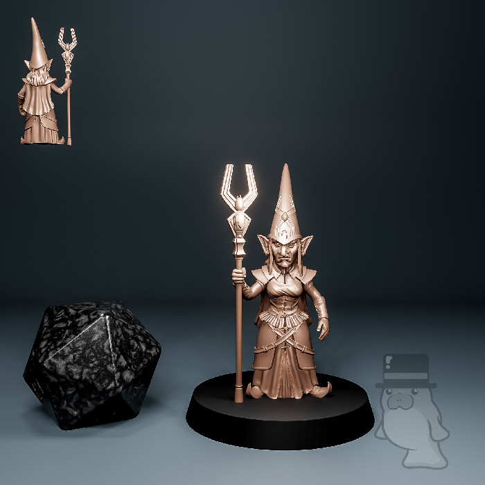 Goblin Female - DnD Heroes: Mages - Tytan Troll :: Mini Manatee New Zealand