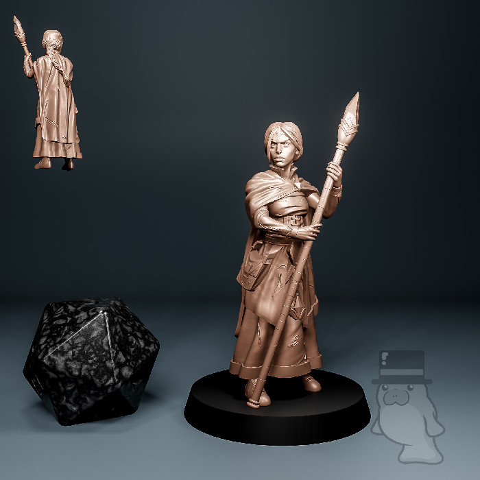 Human Female - DnD Heroes: Mages - Tytan Troll :: Mini Manatee New Zealand