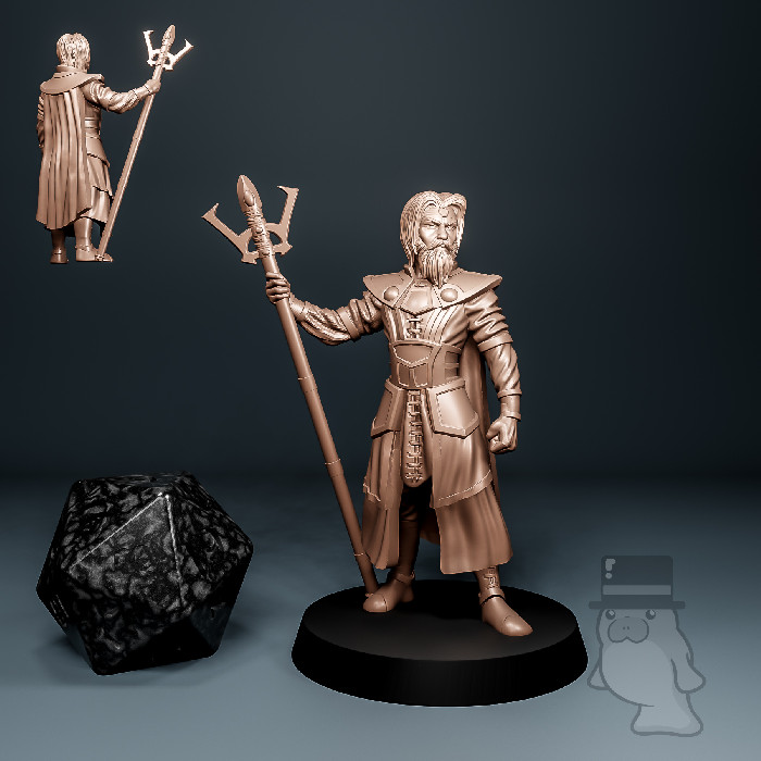 Human Male - DnD Heroes: Mages - Tytan Troll :: Mini Manatee New Zealand