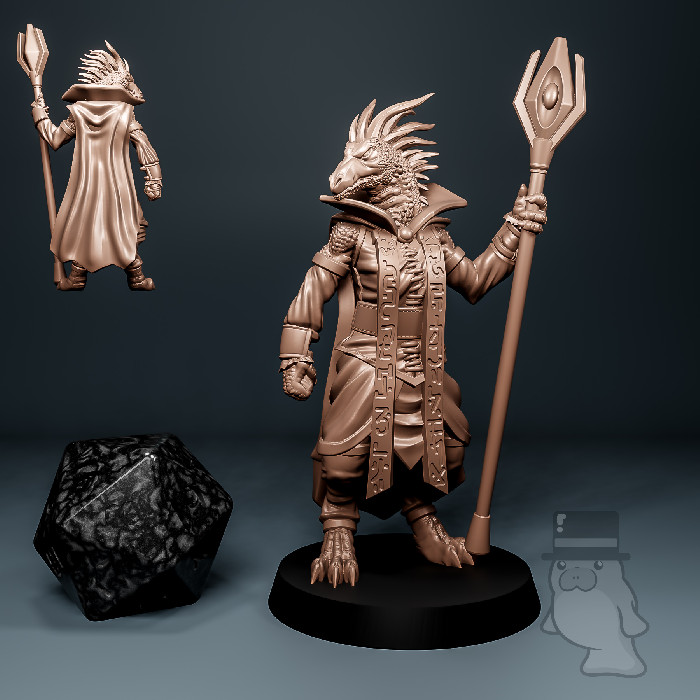 Dragonborn Female - DnD Heroes: Mages - Tytan Troll :: Mini Manatee New ...
