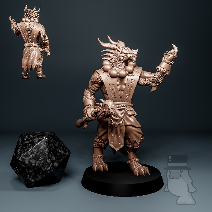 Dragonborn Male - DnD Heroes: Mages - Tytan Troll :: Mini Manatee New ...