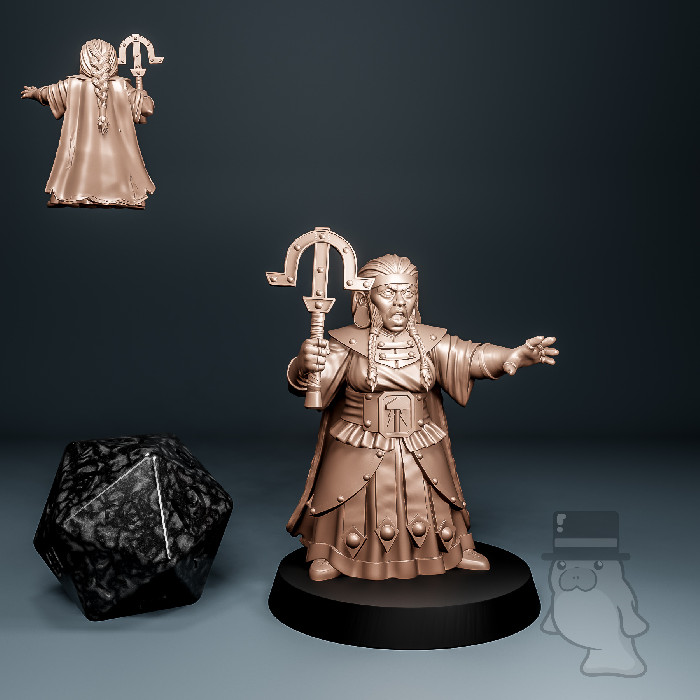 Dwarf Female - DnD Heroes: Mages - Tytan Troll :: Mini Manatee New Zealand