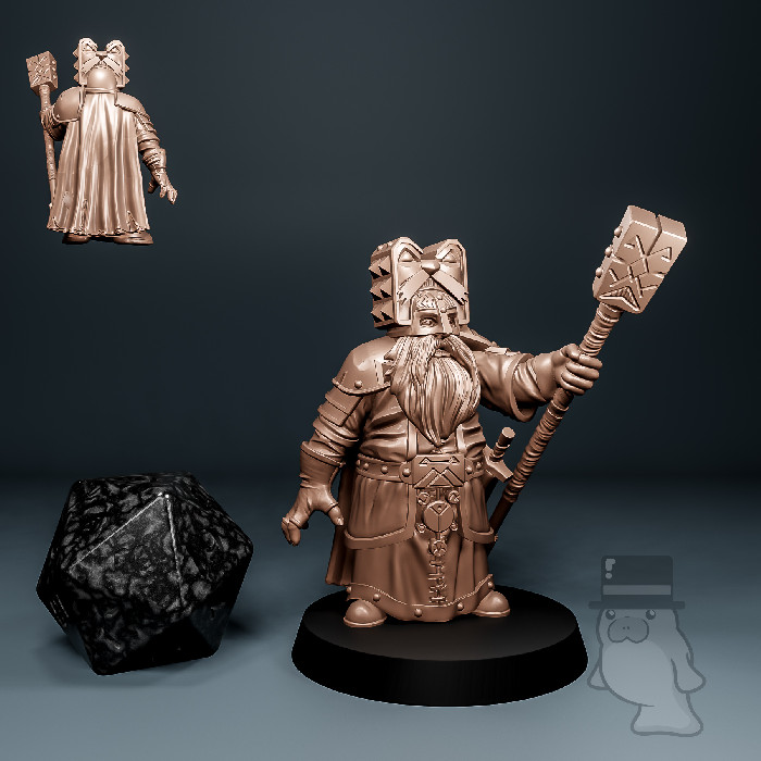 Dwarf Male - DnD Heroes: Mages - Tytan Troll :: Mini Manatee New Zealand