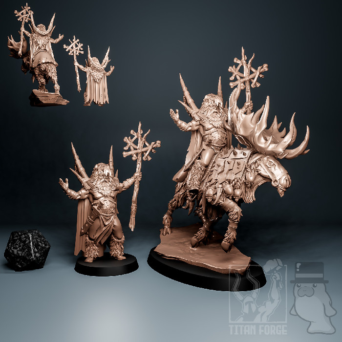 Norse Barbarians Exalted Wizard - Titan Forge :: Mini Manatee New Zealand